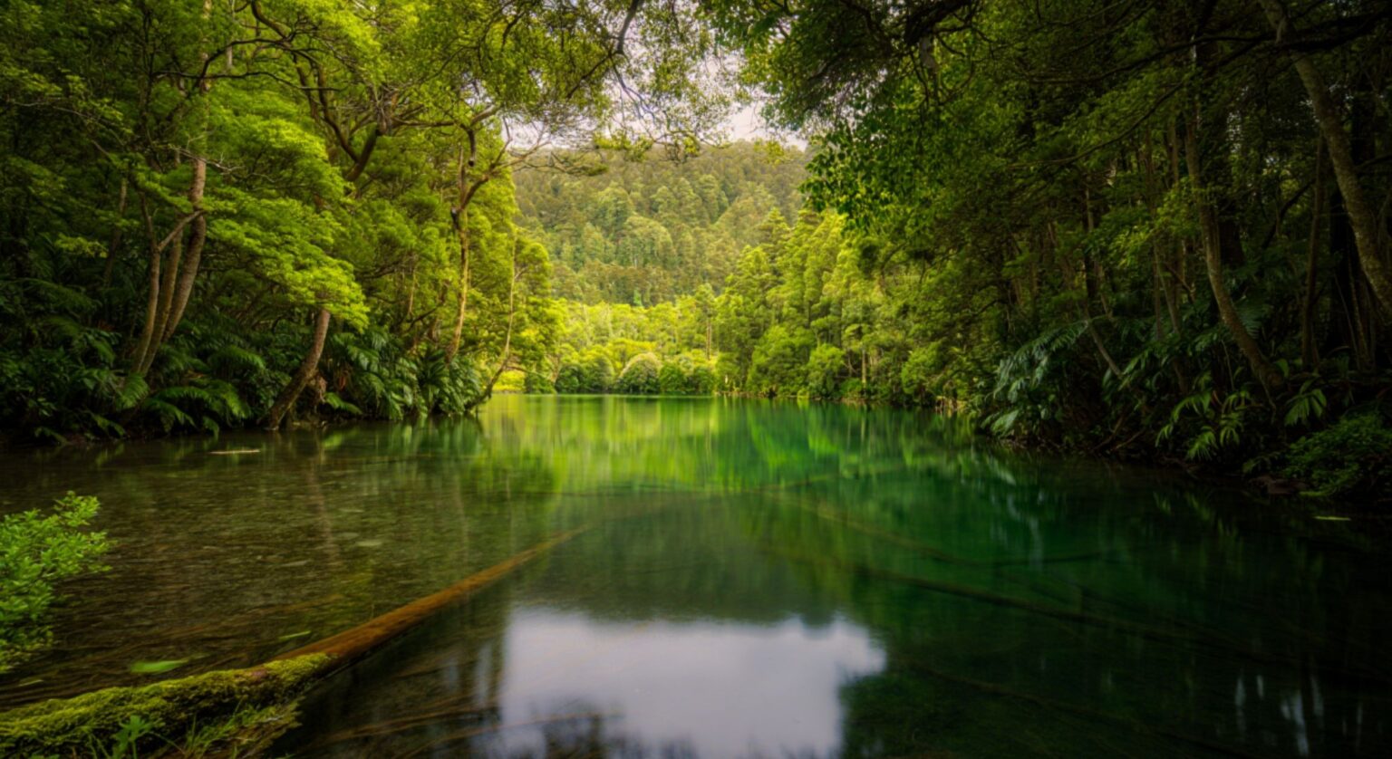 This secret lake north of Auckland attracts only locals — impossible to ...