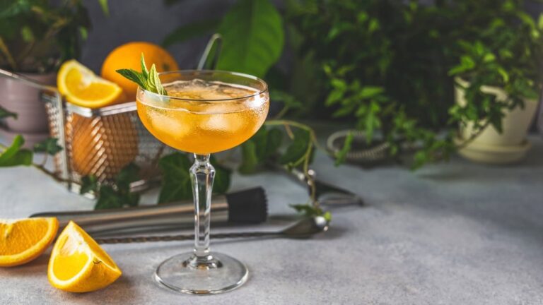 Winter Spritz: A Reimagined Classic Spritz Recipe for Winter